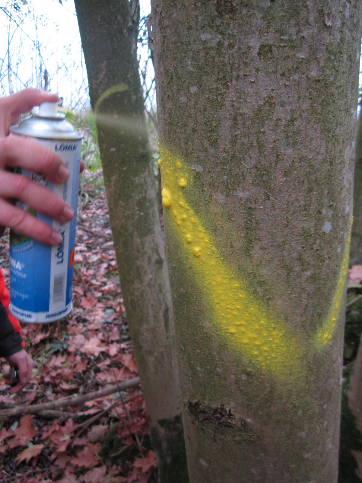 Schuine verfstreep | Ecopedia