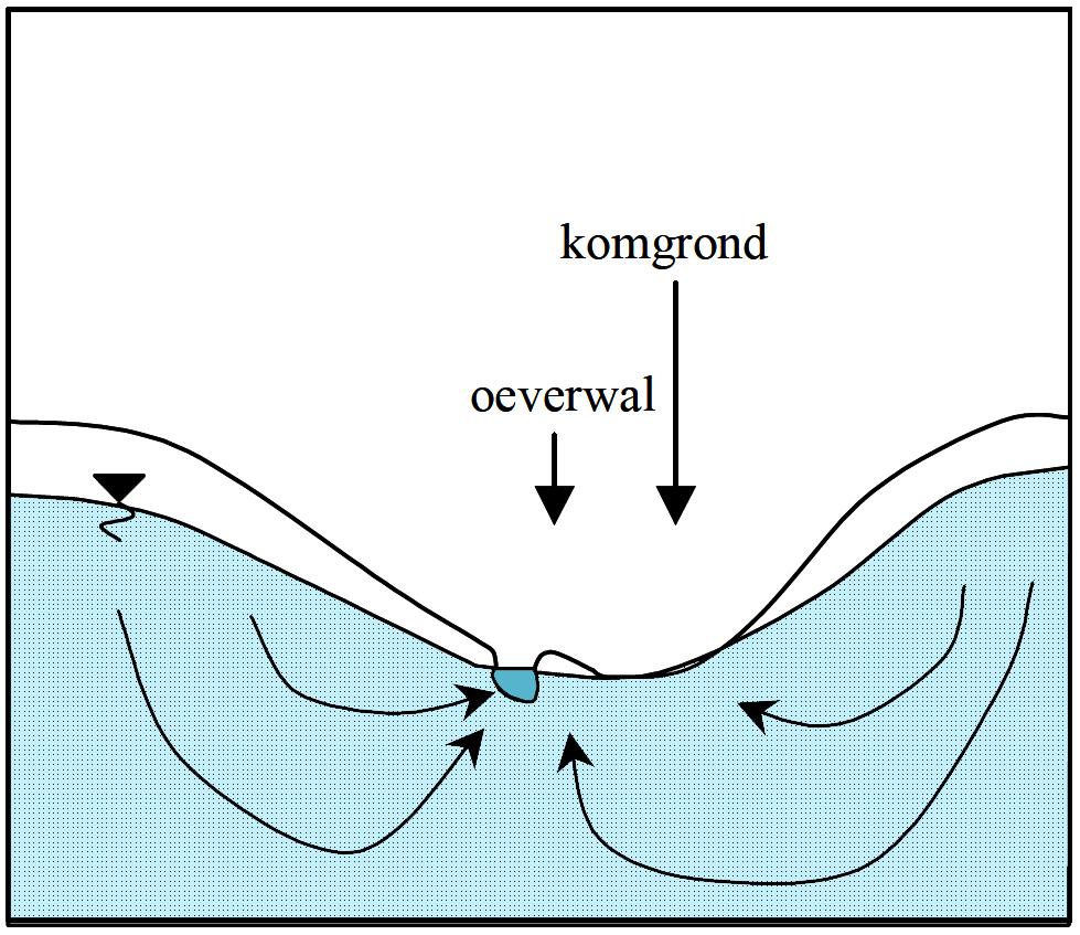 Komgrond | Ecopedia