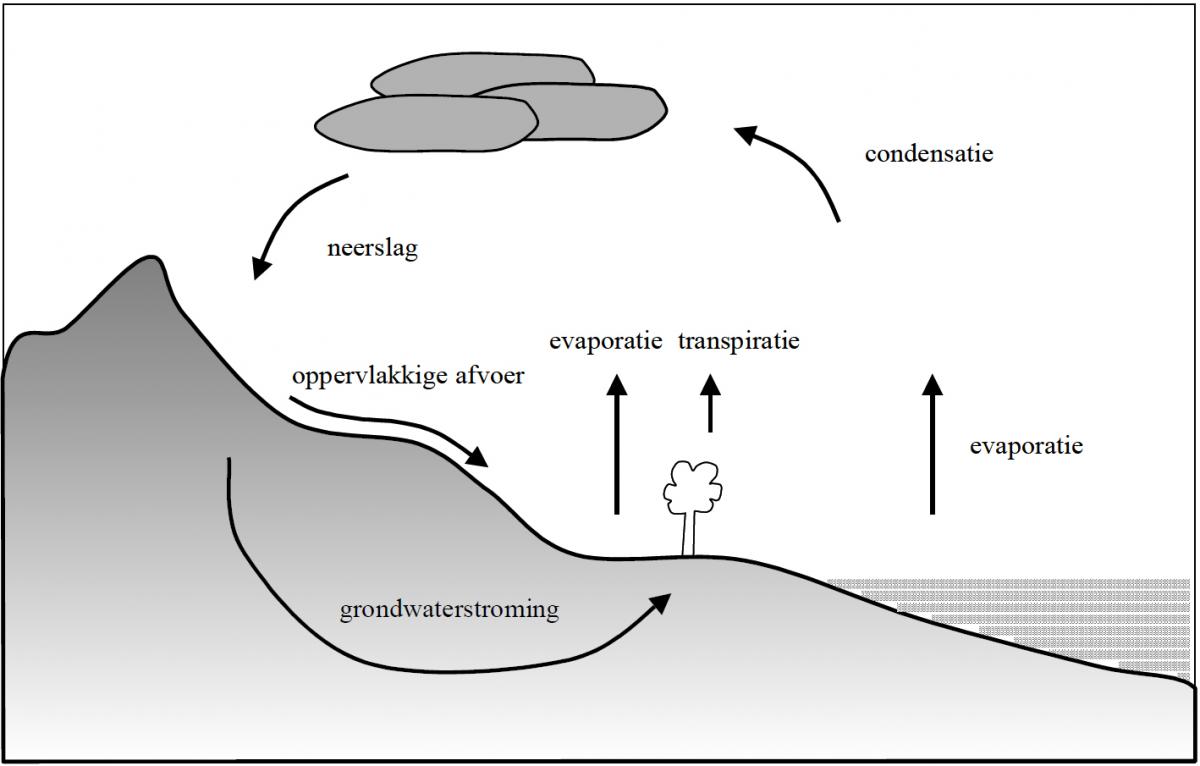 Waterbalans | Ecopedia