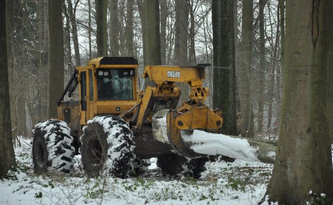 Sleeptang | Ecopedia