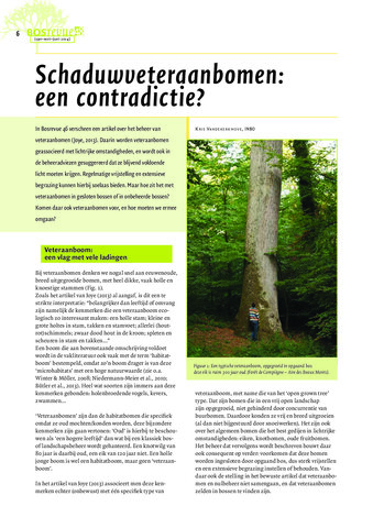 Schaduwveteraanbomen: een contradictie? | Ecopedia