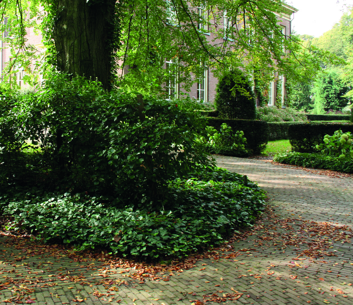 MTA - casus beuk | Ecopedia